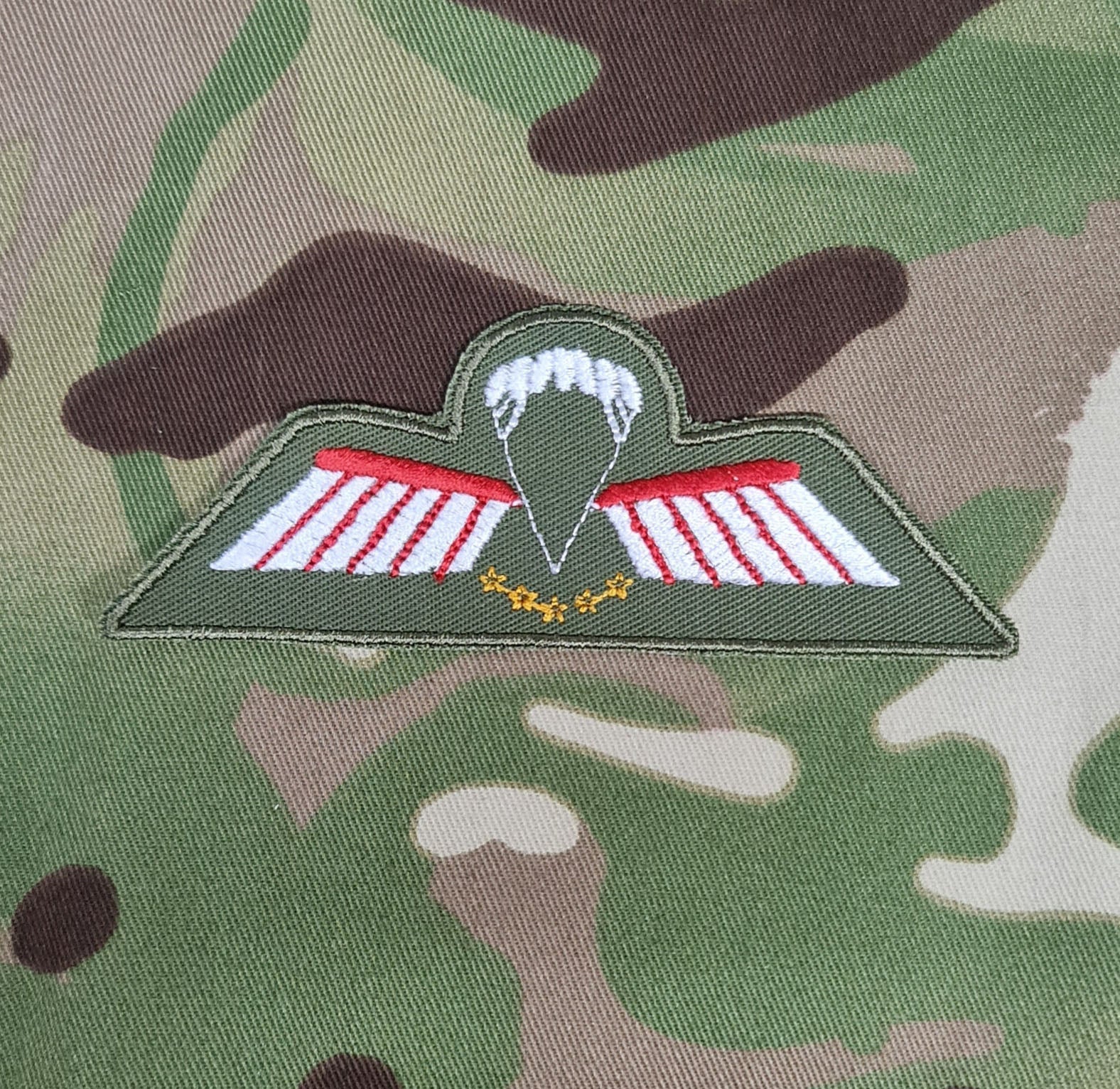 Netherlands / Dutch Airborne Parachutist Qualification Wings - Brevet ...