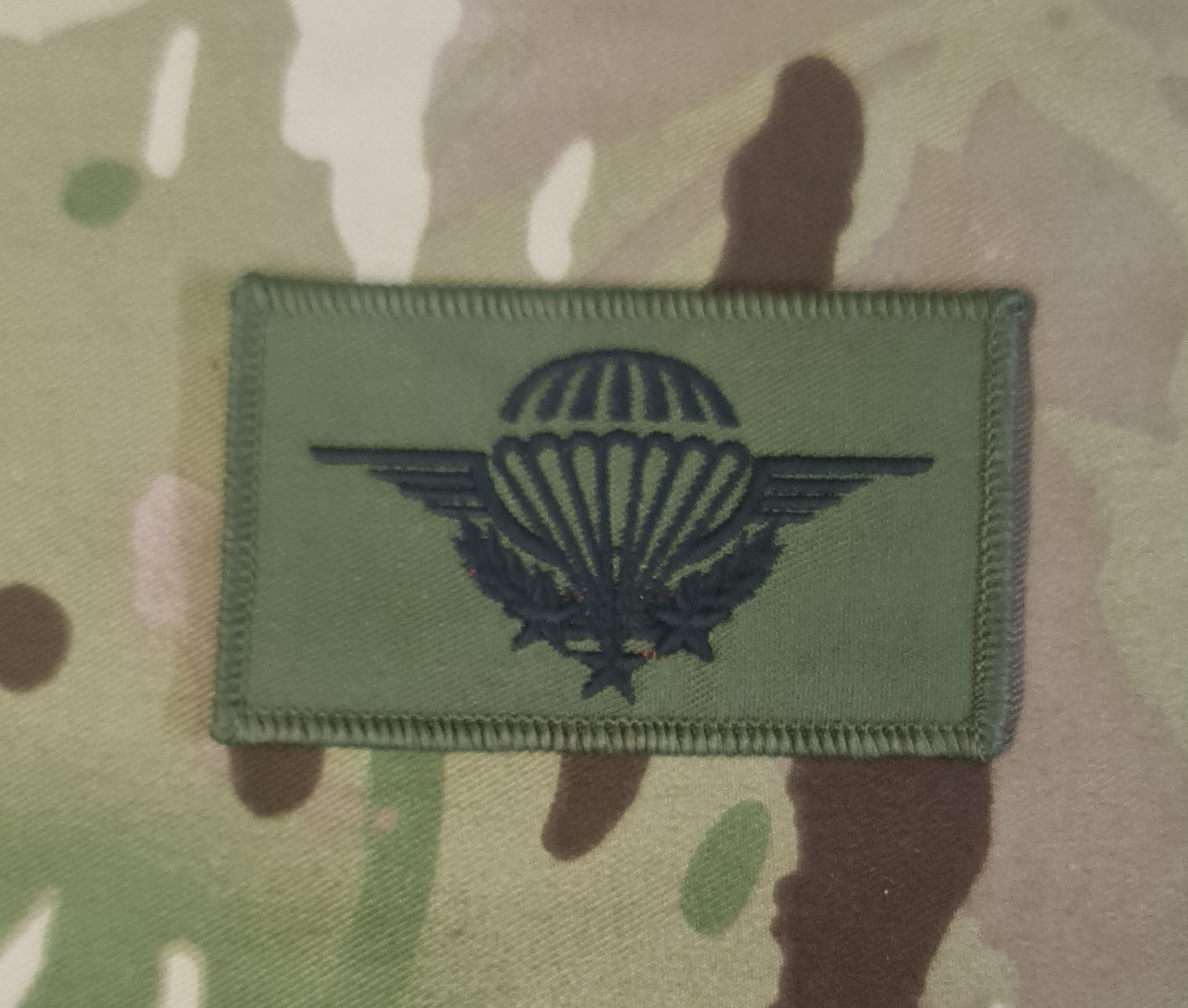 French / Legion Freefall /Parachutist Wing / Brevet (mtp / olive ...