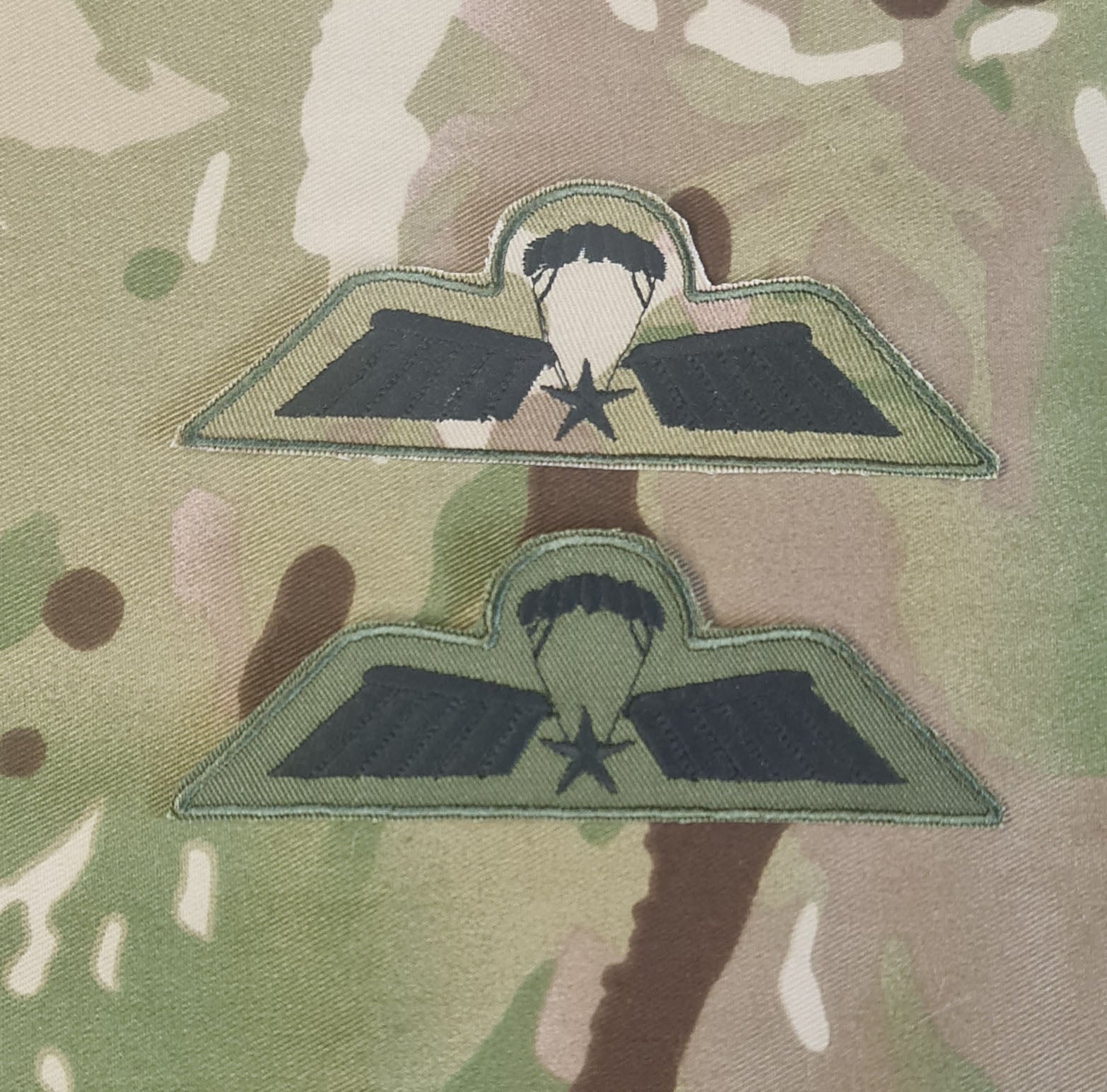 Netherlands / Dutch Airborne Parachutist Qualification Wings - Brevet ...