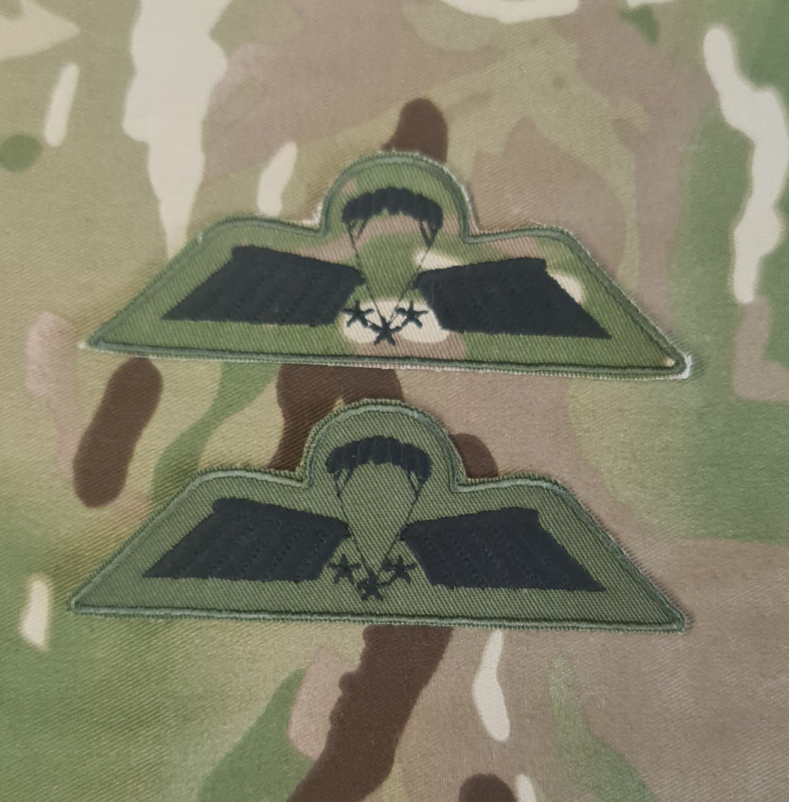 Netherlands / Dutch Airborne Parachutist Qualification Wings - Brevet ...