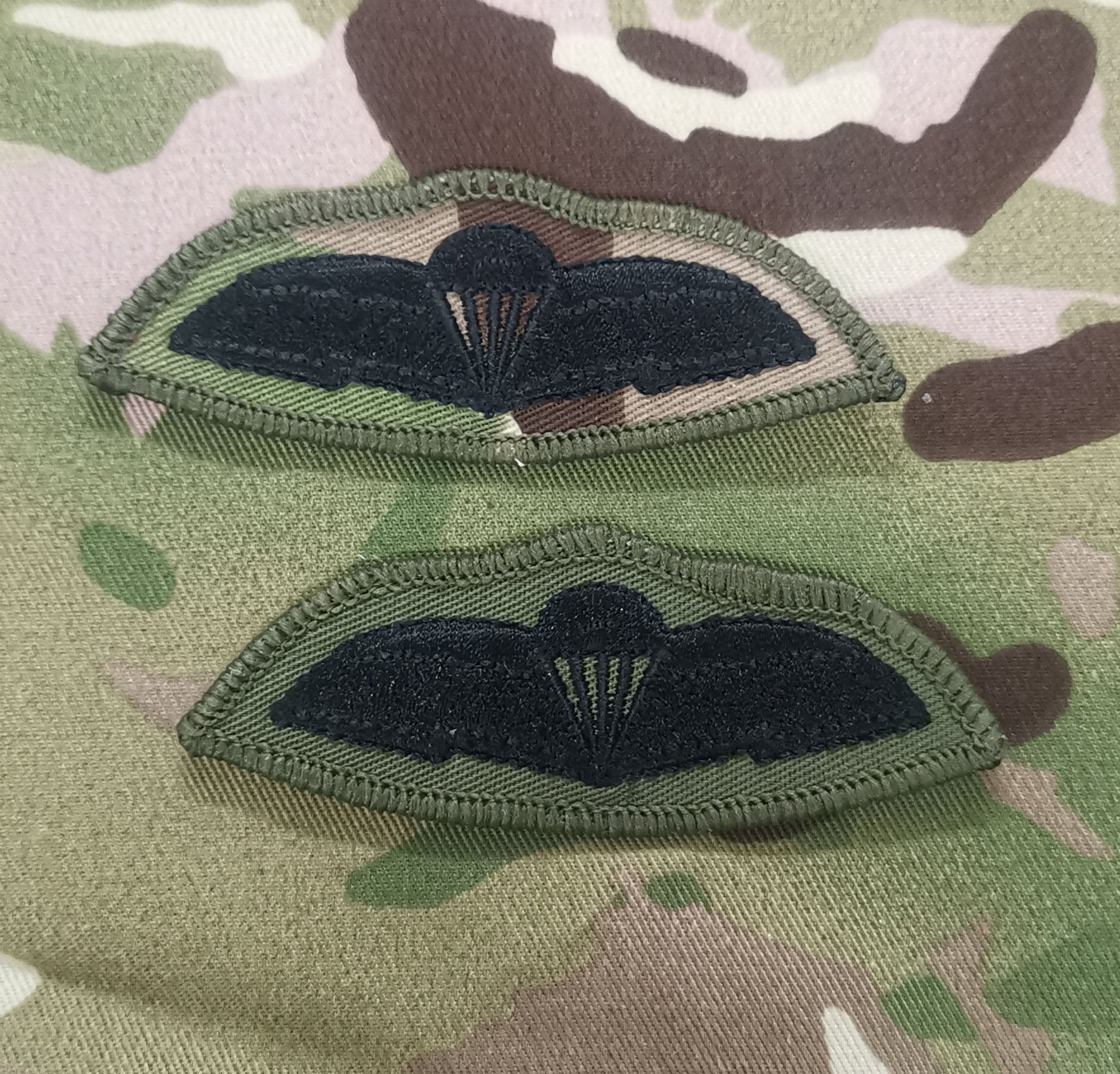Subdued 18 Signal Regiment / Communicator Wings SFC – hanger39colchester